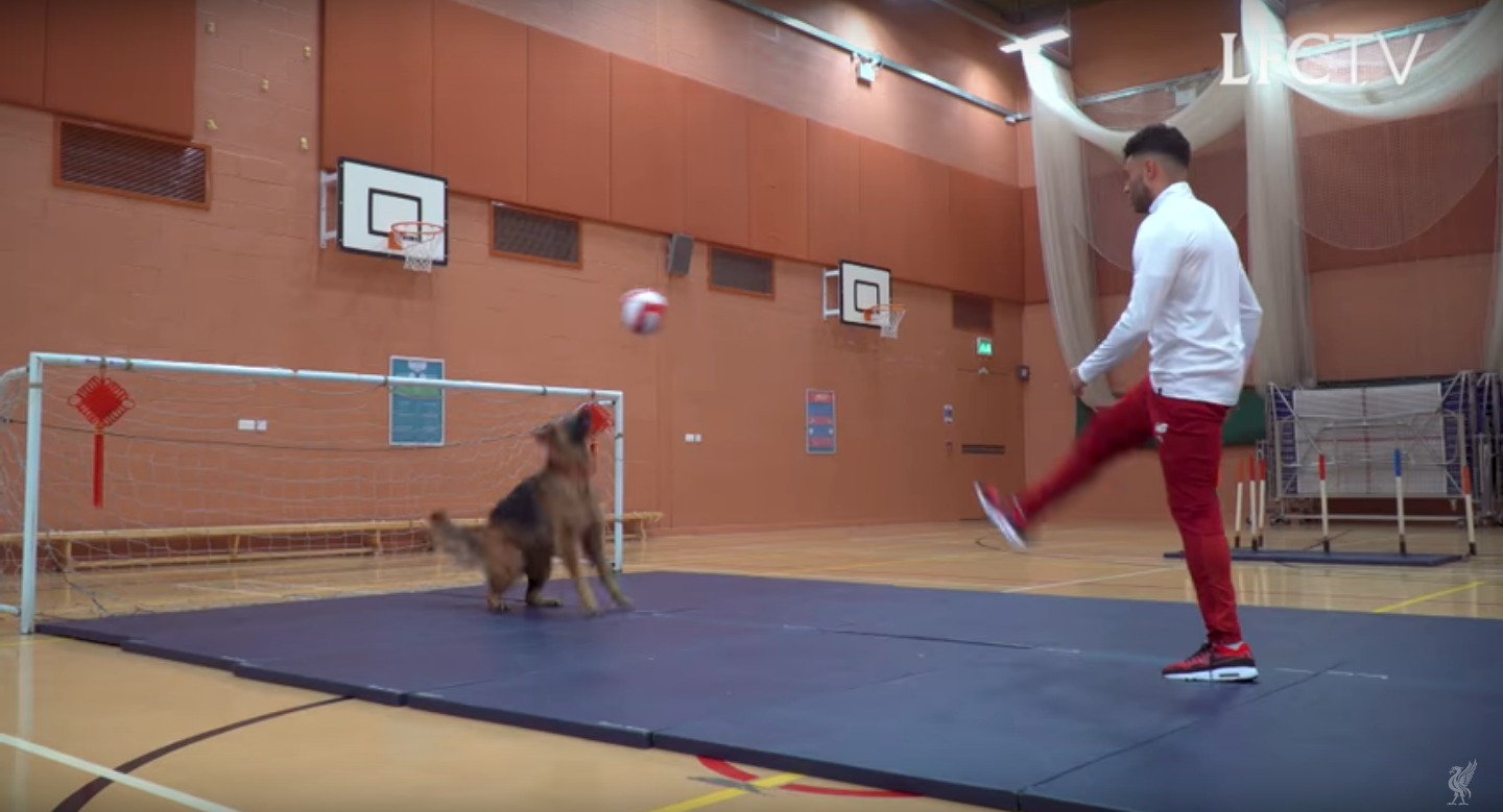 Watch Liverpool Players Try To Train Some Good Dogs