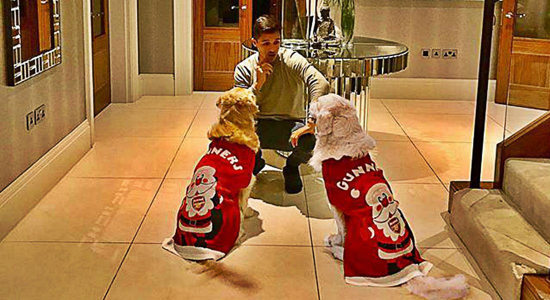 Alexis Sanchez Has Already Decorated His Dogs For Christmas