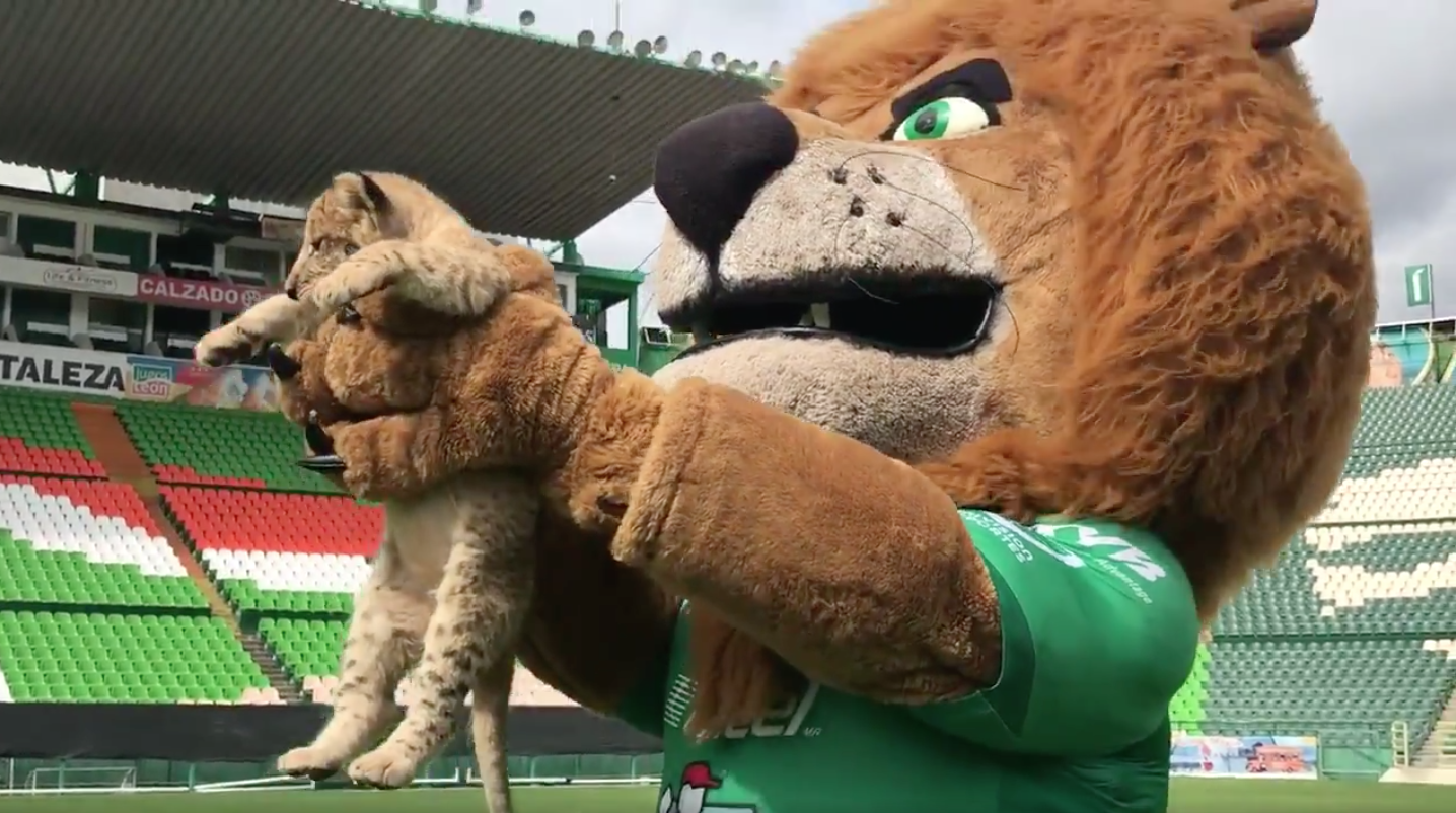 New Club Léon Mascot Is Ridiculously Adorable