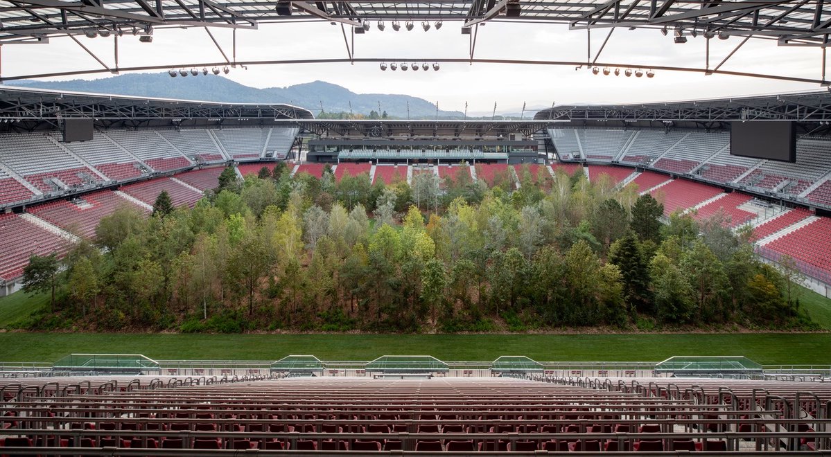 Forest Pitch Created At Austrian Second-Division Club's Stadium