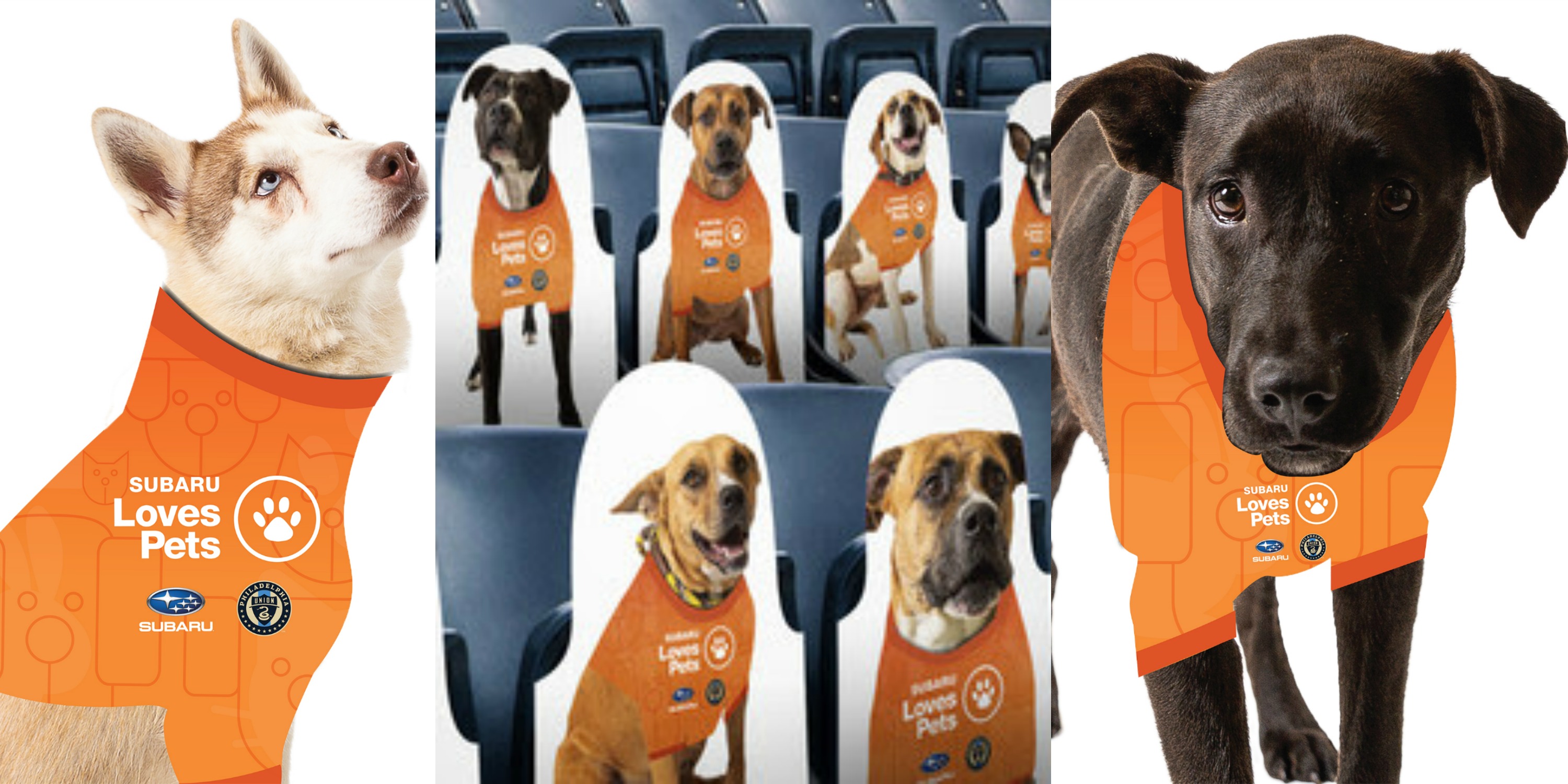 Philadelphia Union Stadium To Feature Cardboard Cutouts Of Adoptable ...
