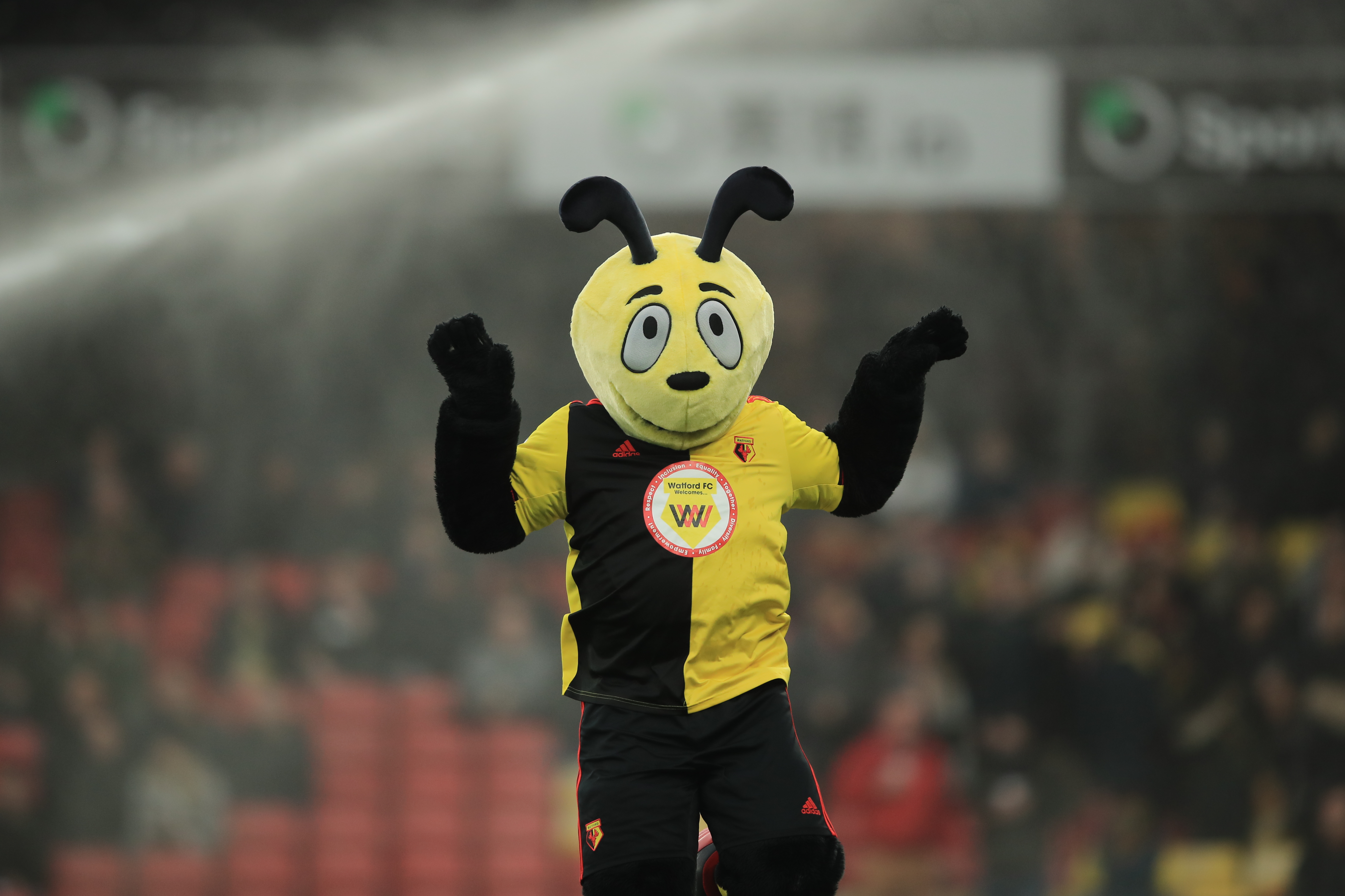 Watford's Harry The Hornet Has Again Proven He's A Footballer's ...