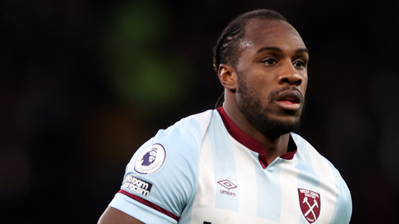 Why Does Zouma Cat Video Stir Outrage And Action But Not Racism, Says ...