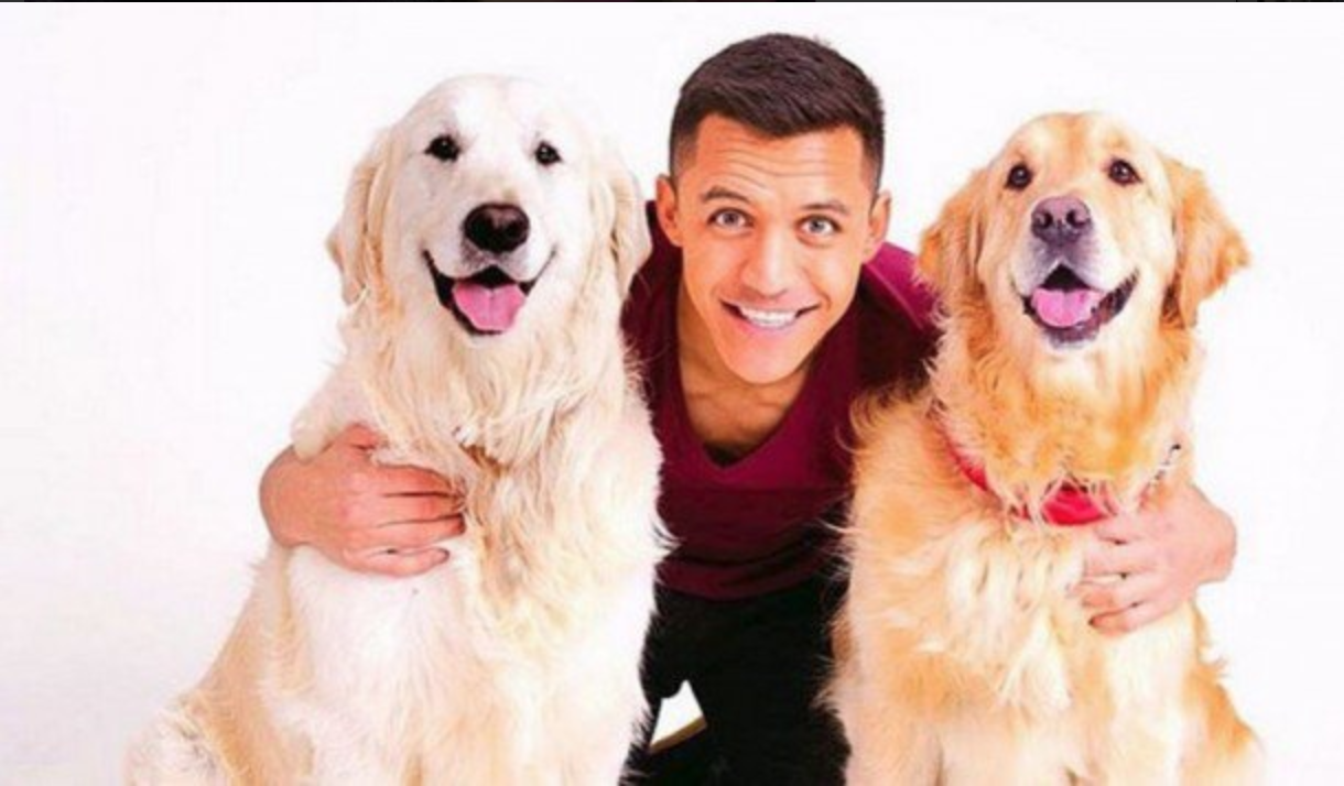 Alexis Sanchez Dogs: Atom and Humber