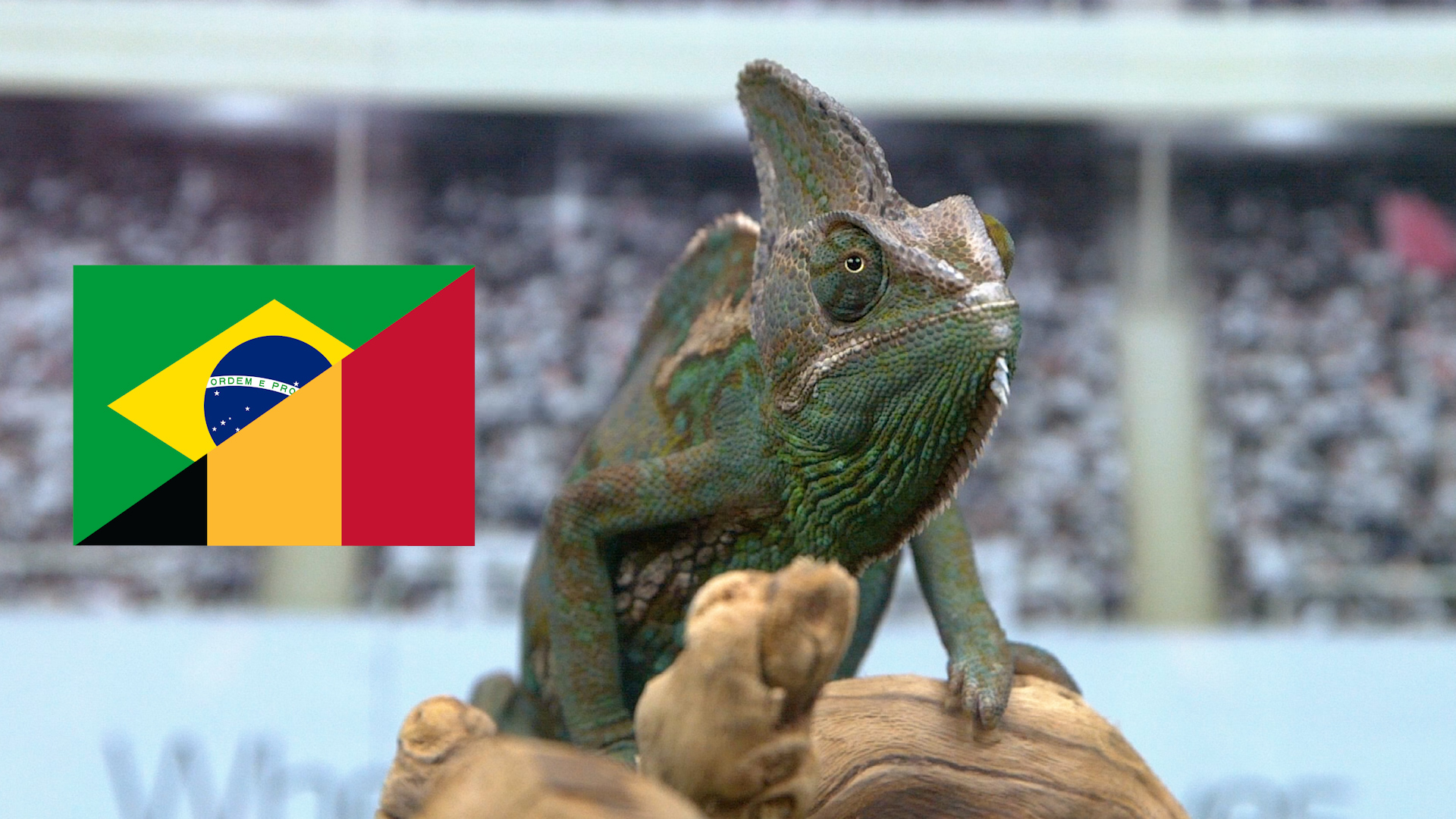 Leon Likes: Brazil vs. Belgium | The18