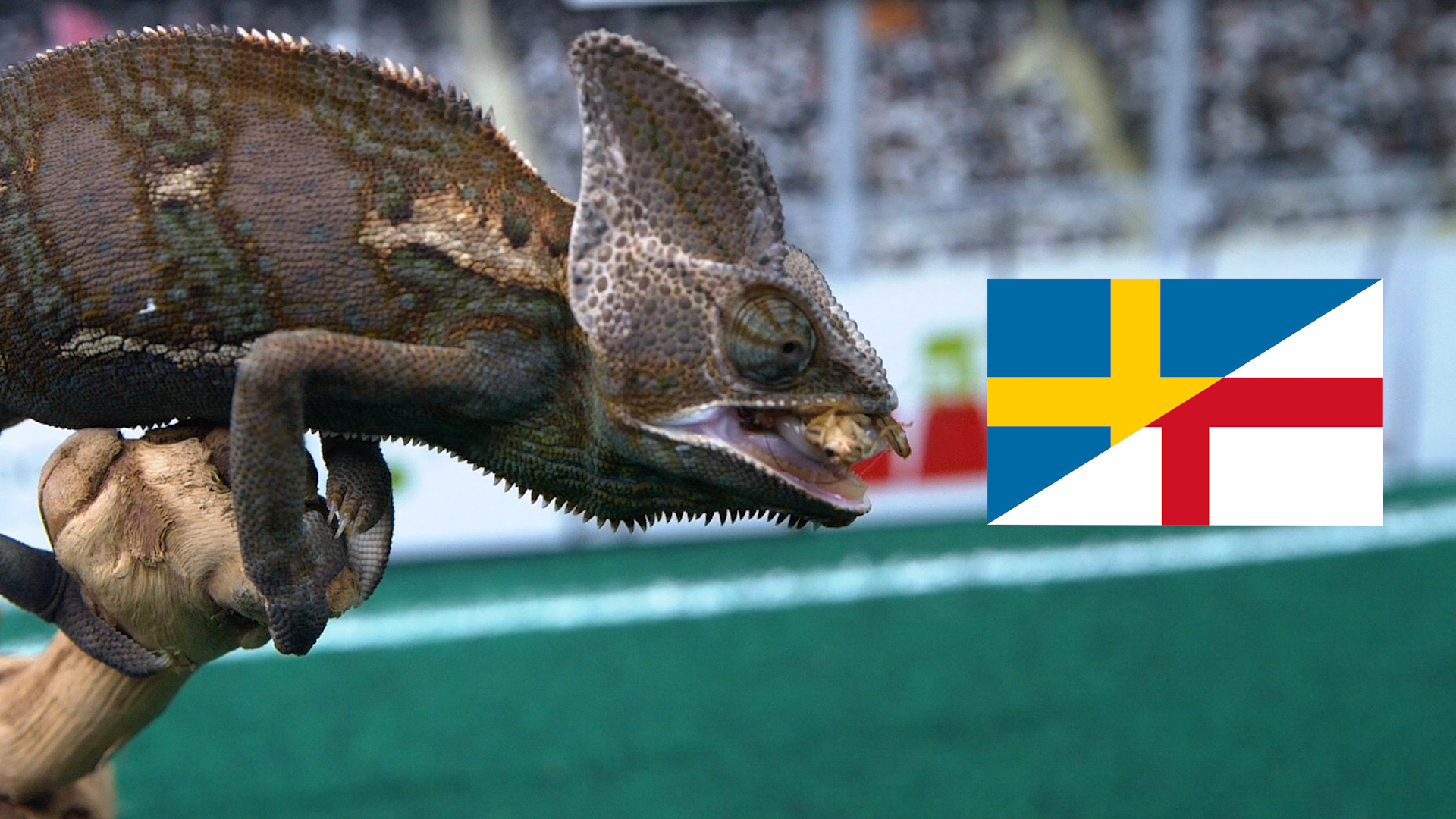 Leon Likes: England vs. Sweden | The18