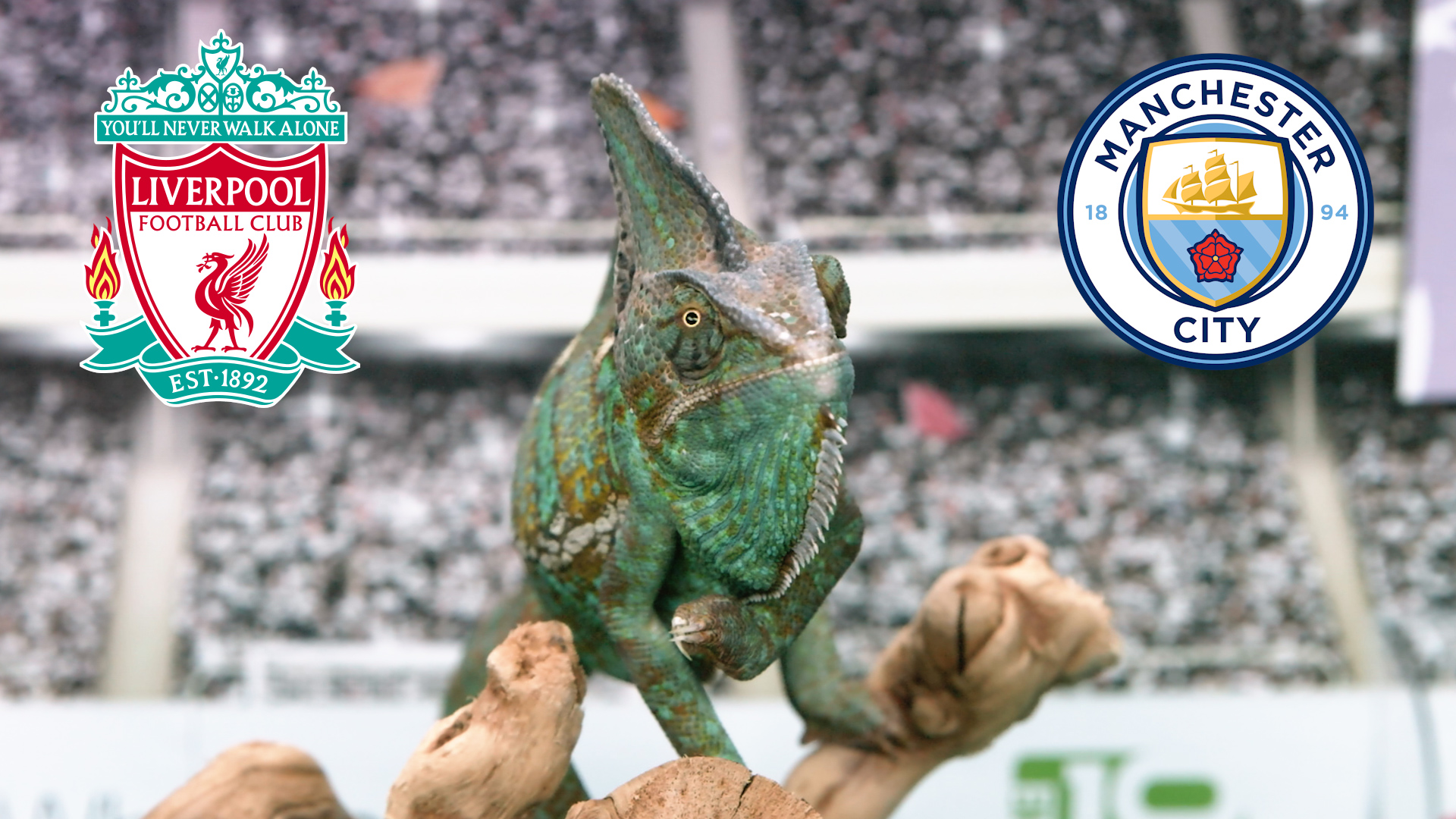 Leon Likes: Liverpool vs City